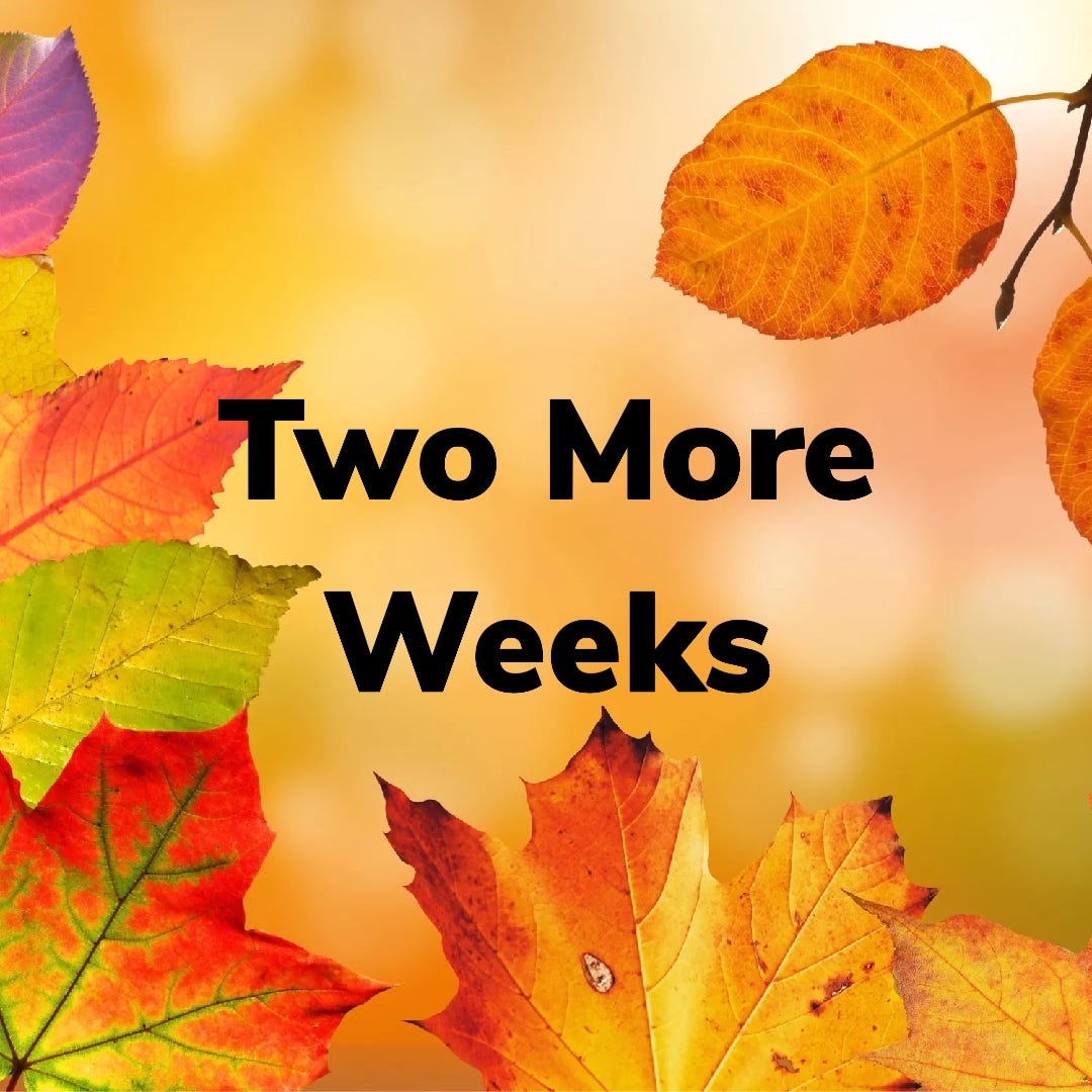 Two More Weeks - by Bridget Ball