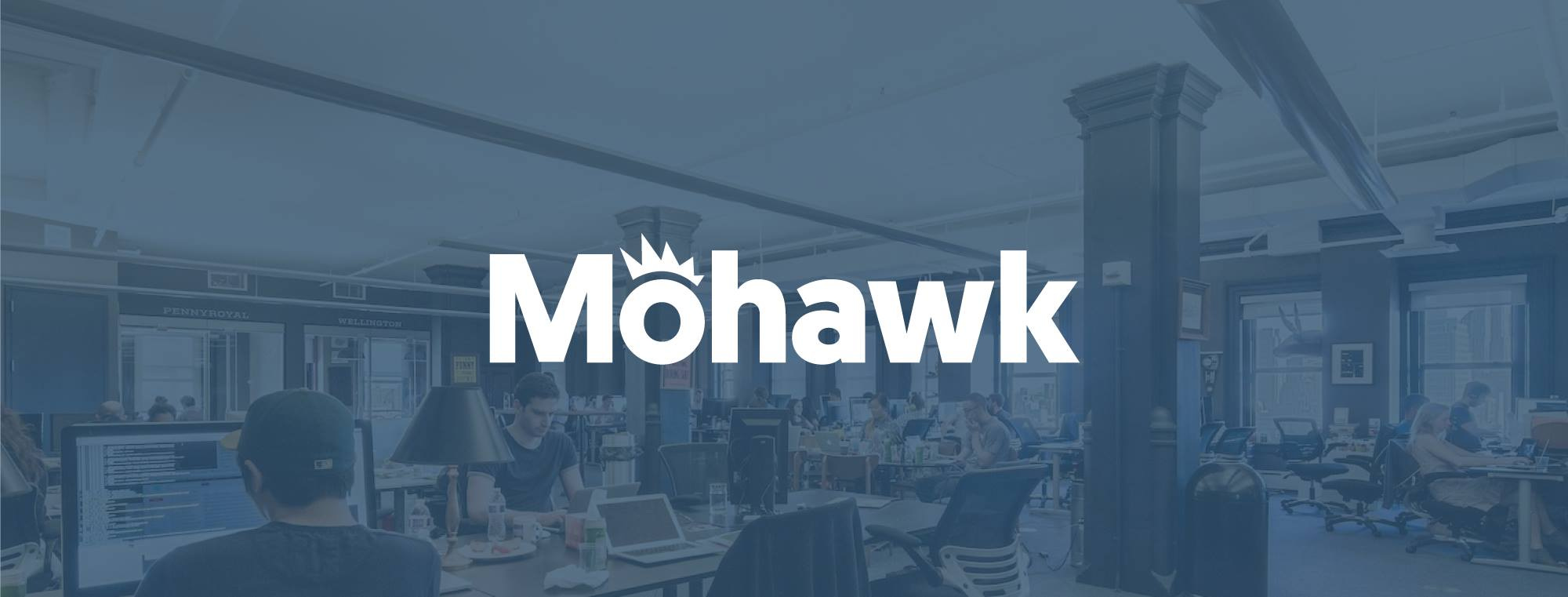 Mohawk Group - leading tech enabled consumer products platform