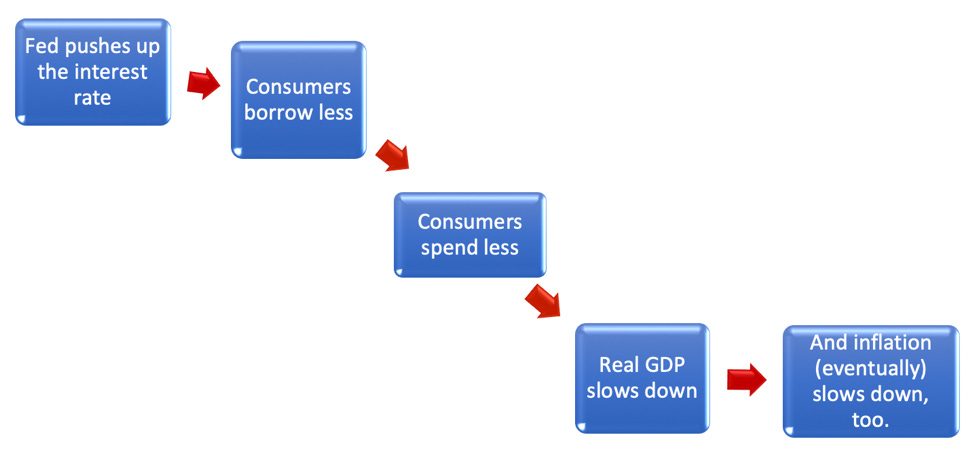 Why the interest rate, Fed? - by Ryan Brady - Macrosight