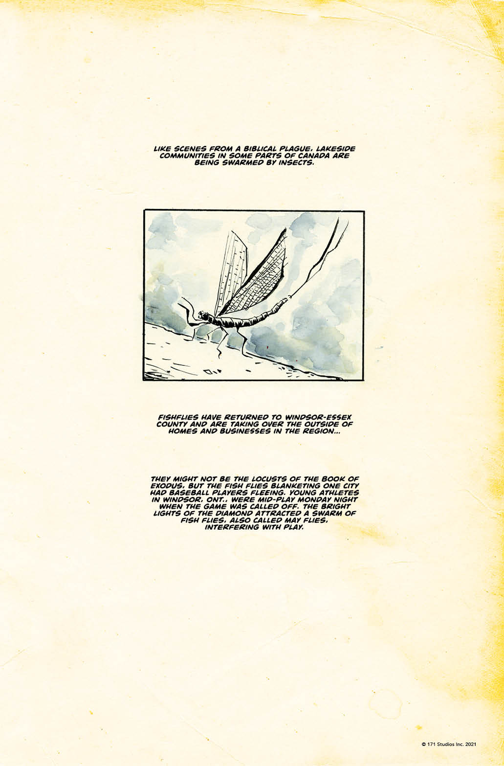 FISHFLIES 2-8 - by Jeff Lemire - Tales From the Farm