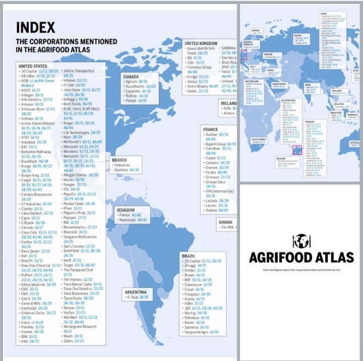 Global Consolidation of Food Supply
