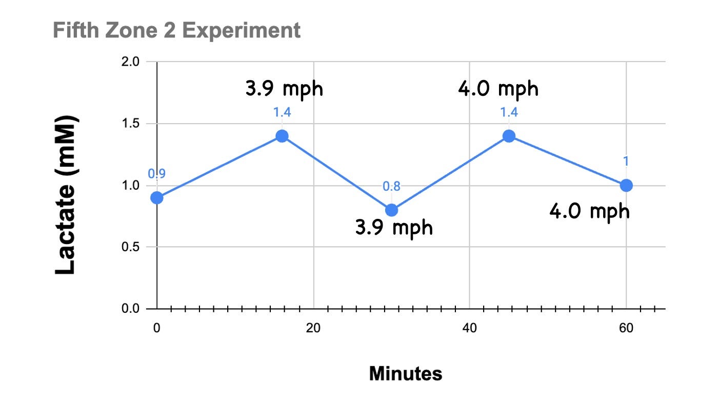 Adventures in Zone 2 Cardio Training | Part 1