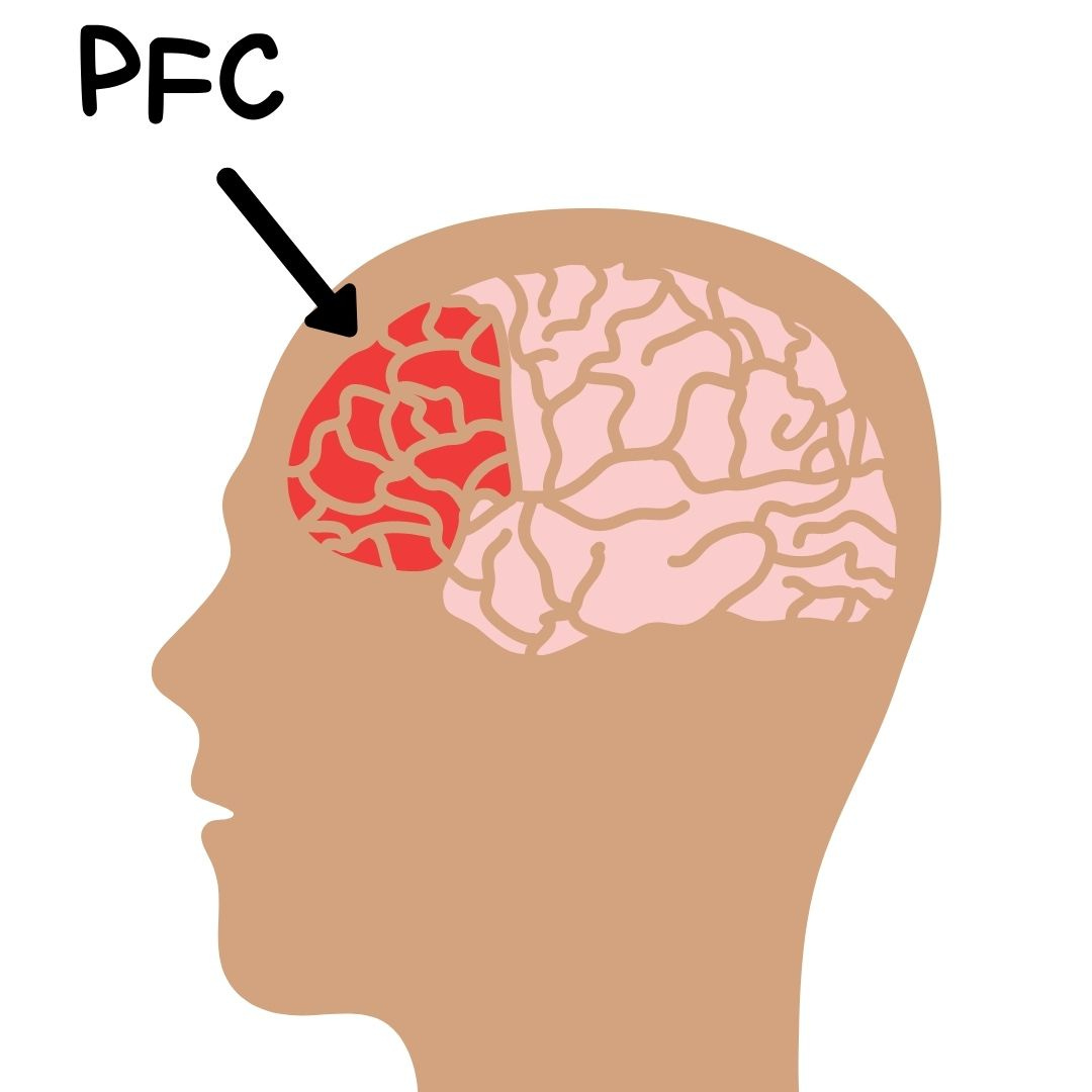 Emotions are lighthouses - by Siddharth Warrier