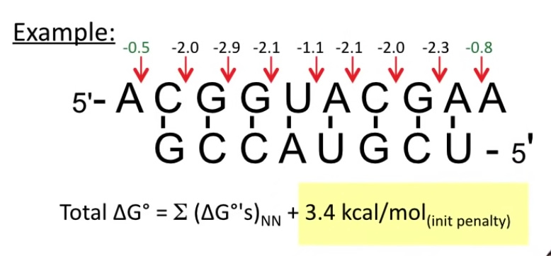 mRNA Folding Mechanisms and Approaches at the Secondary Structure Level