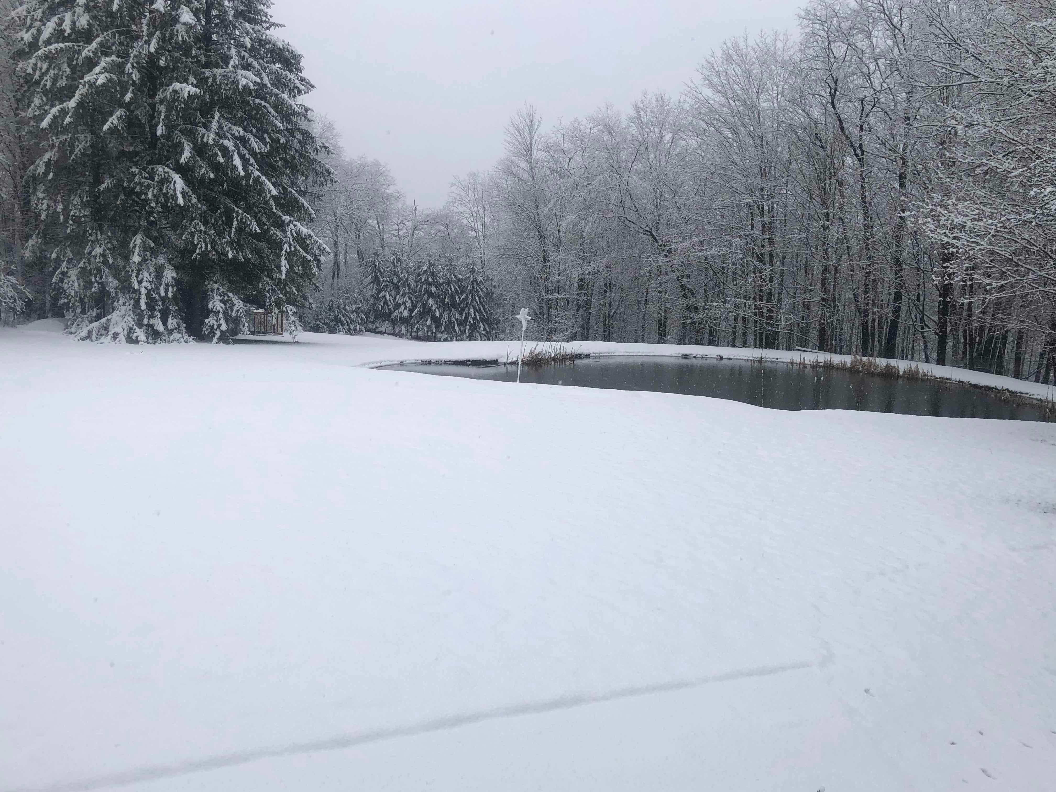 No to Netflix and Who is Rich - Fred Langan Business News