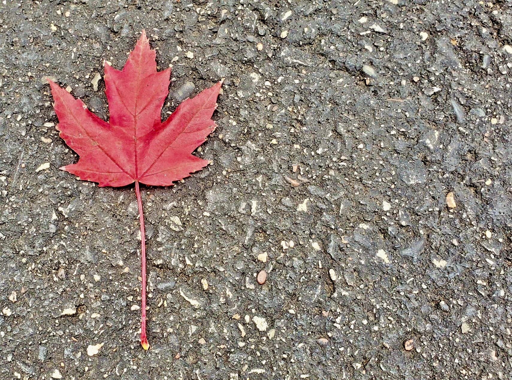 At Last She Said It Newsletter - At Last She Said It