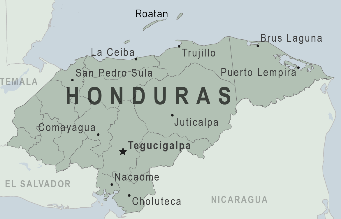 Prospectus On Próspera - by Scott Alexander