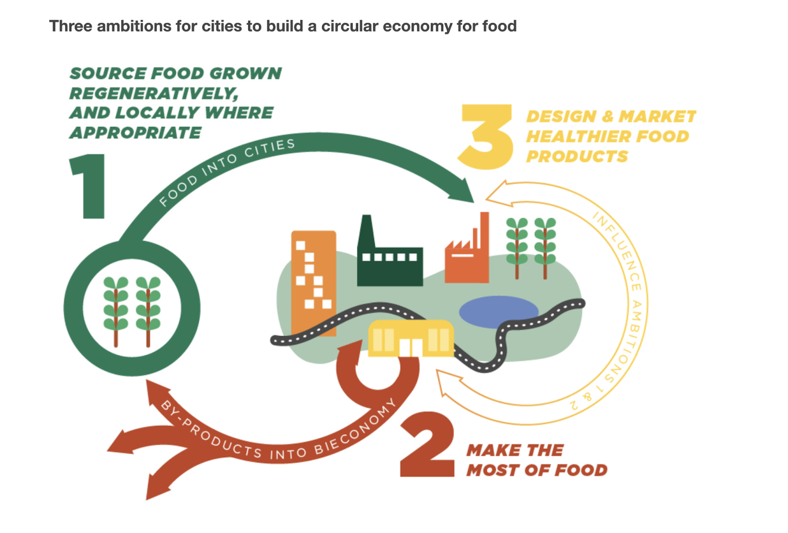 Circular economy in the Agri-food system: The solution for food waste?
