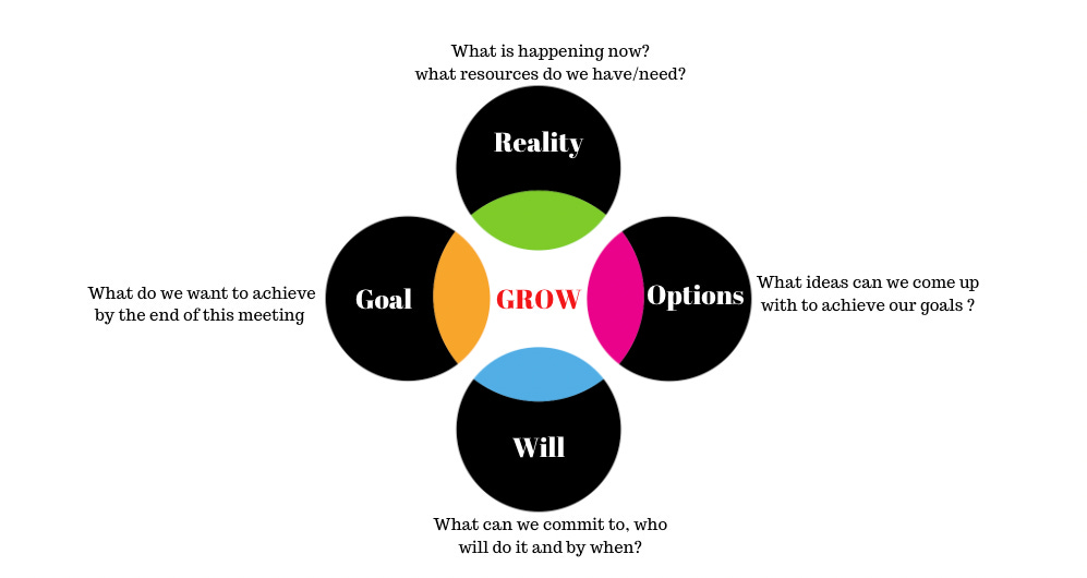 GROW Model for Product Leaders