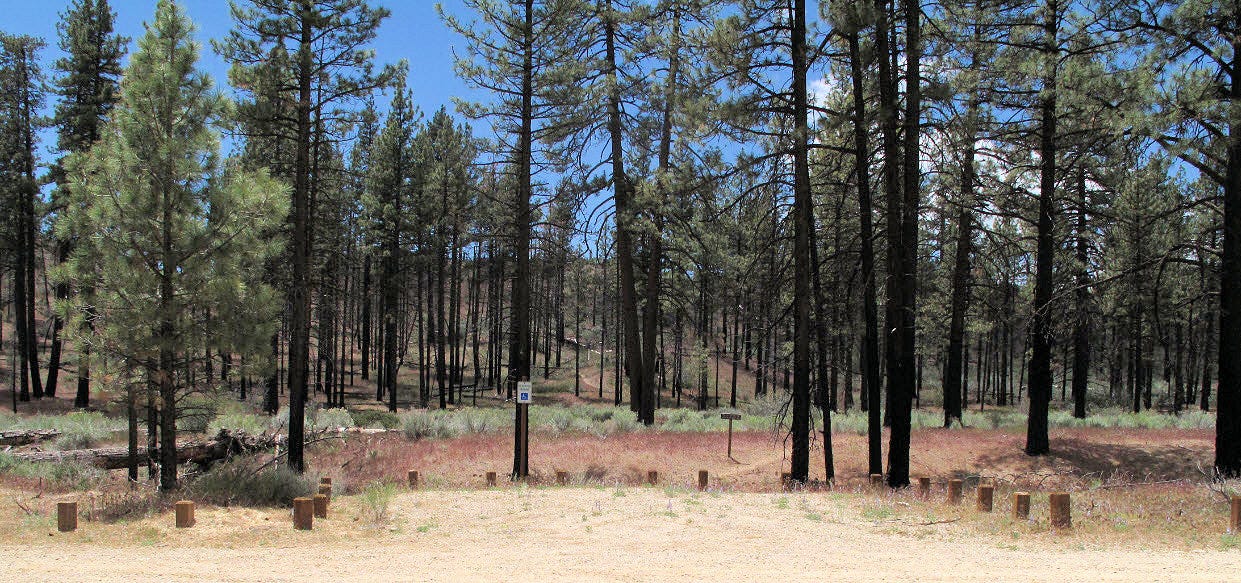 Freehiking on Fishbowls Trail - by Au Naturel