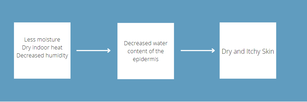 Dry and Itchy Skin? - by The Skincare Provider