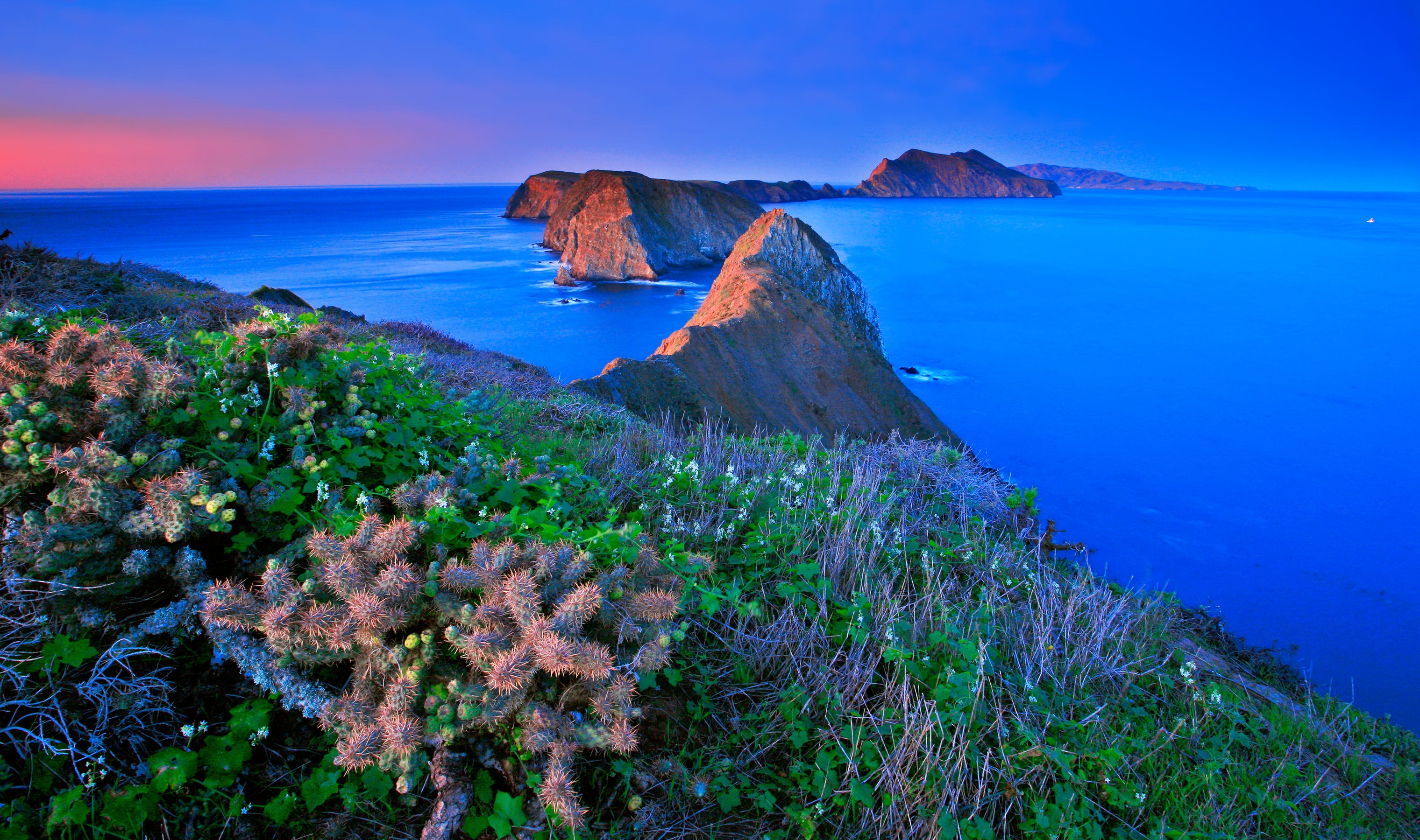 Anacapa Island - by Lydia Kremer - Window on the World