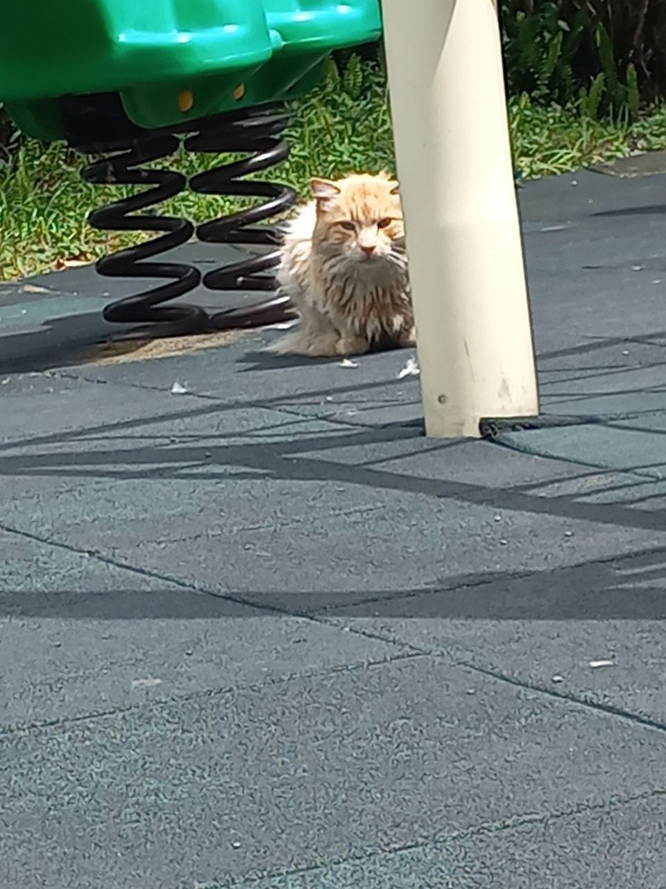 Cat on a playground - by Lord Mariamawit - Malaised-Mary
