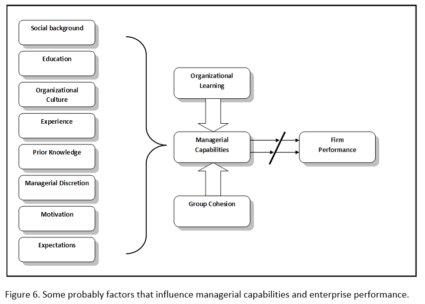 Skills, personal competencies and enterprise capabilities throughout ...