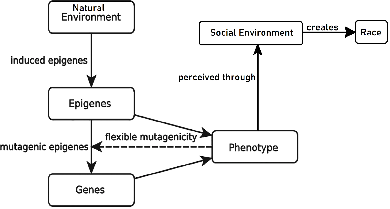 Transracial Realism - by Trans Rights Activist - Edgetopia