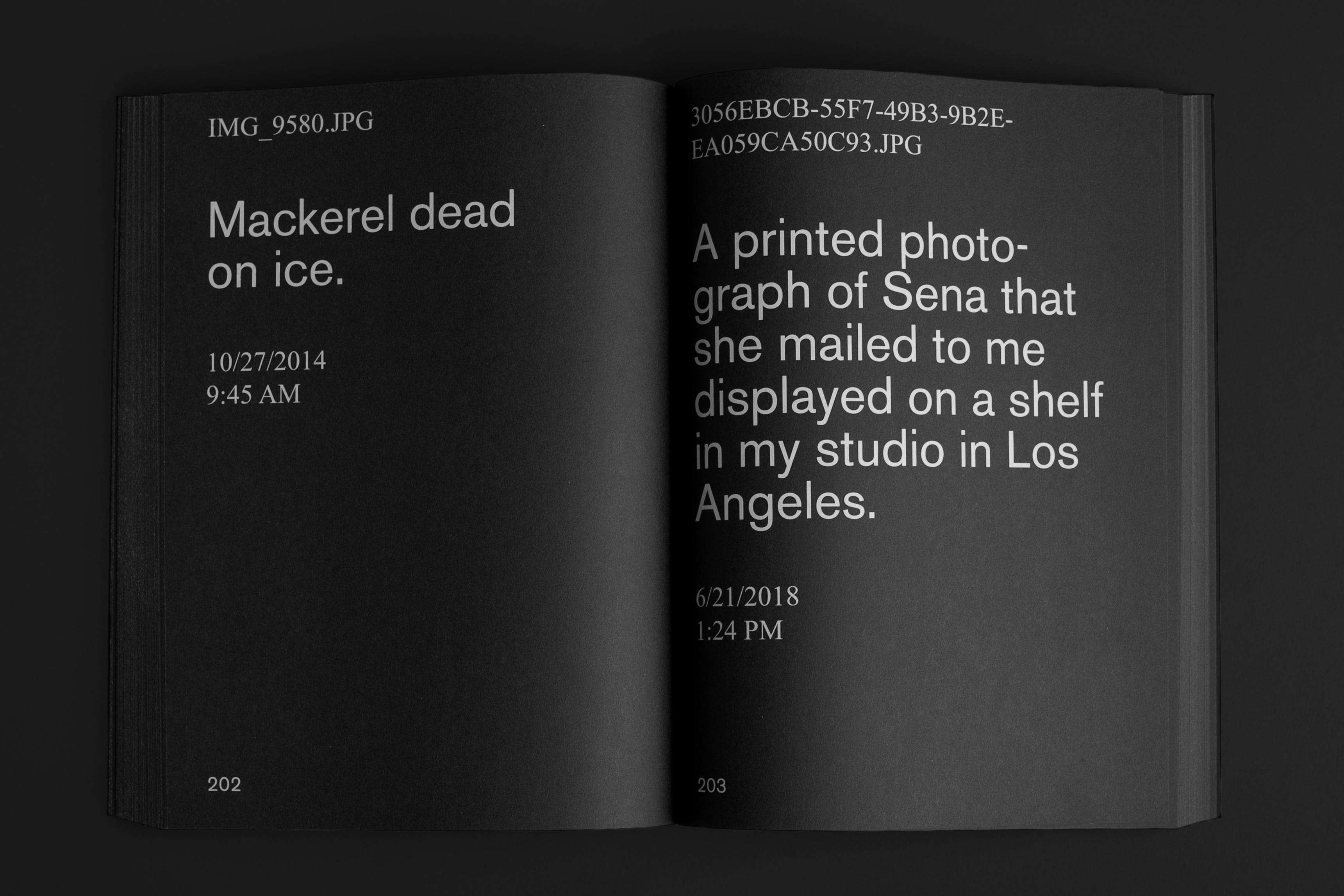 Nostalgia by David Horvitz - DRAWLIGHTS