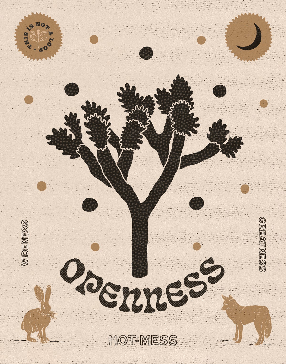 A trip to the desert - by Yossi Shamrik