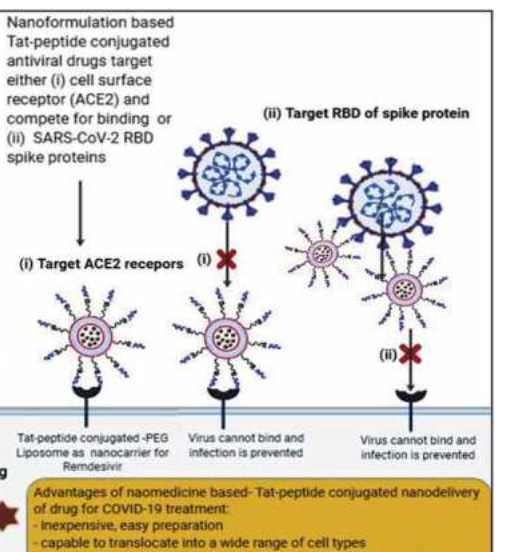 Not New. Arginine / HIV-TAT lab tool --> Syncytium-building ...