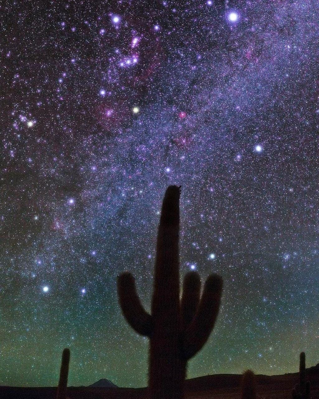 The Sky Is A Neighborhood - by Harsh Bafna