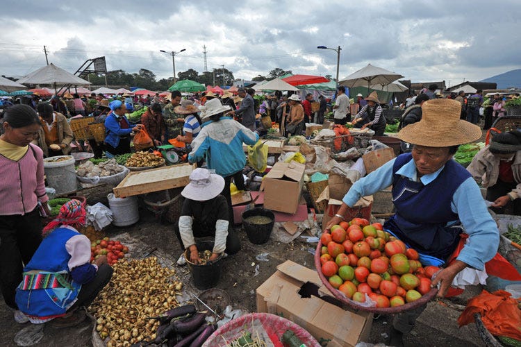 Commodity Boom Part 2 - Food Crisis - by Ading Tonggil