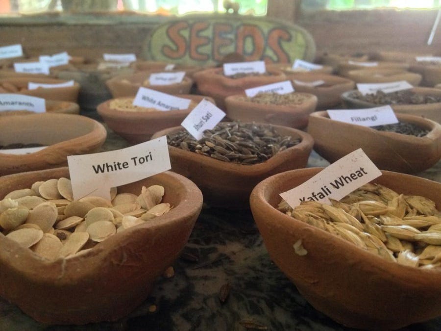 Οίμος-Αθήνα: ΤΟ ΚΙΝΗΜΑ SEED FREEDOM ΖΗΤΑ ΑΠΟ ΤΙΣ ΤΡΑΠΕΖΕΣ ΓΟΝΙΔΙΩΝ ...