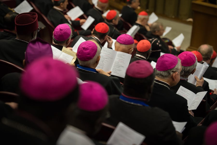 Who is Cardinal Hollerich? - by Luke Coppen - The Pillar