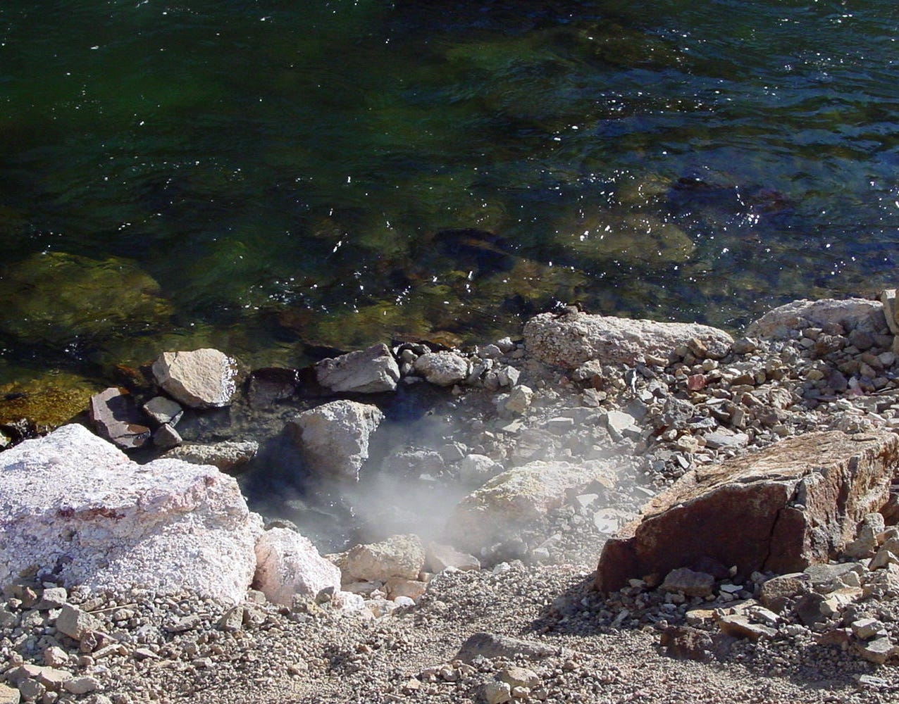 A Grand Resting Place - by Rick Lamplugh - Love the Wild