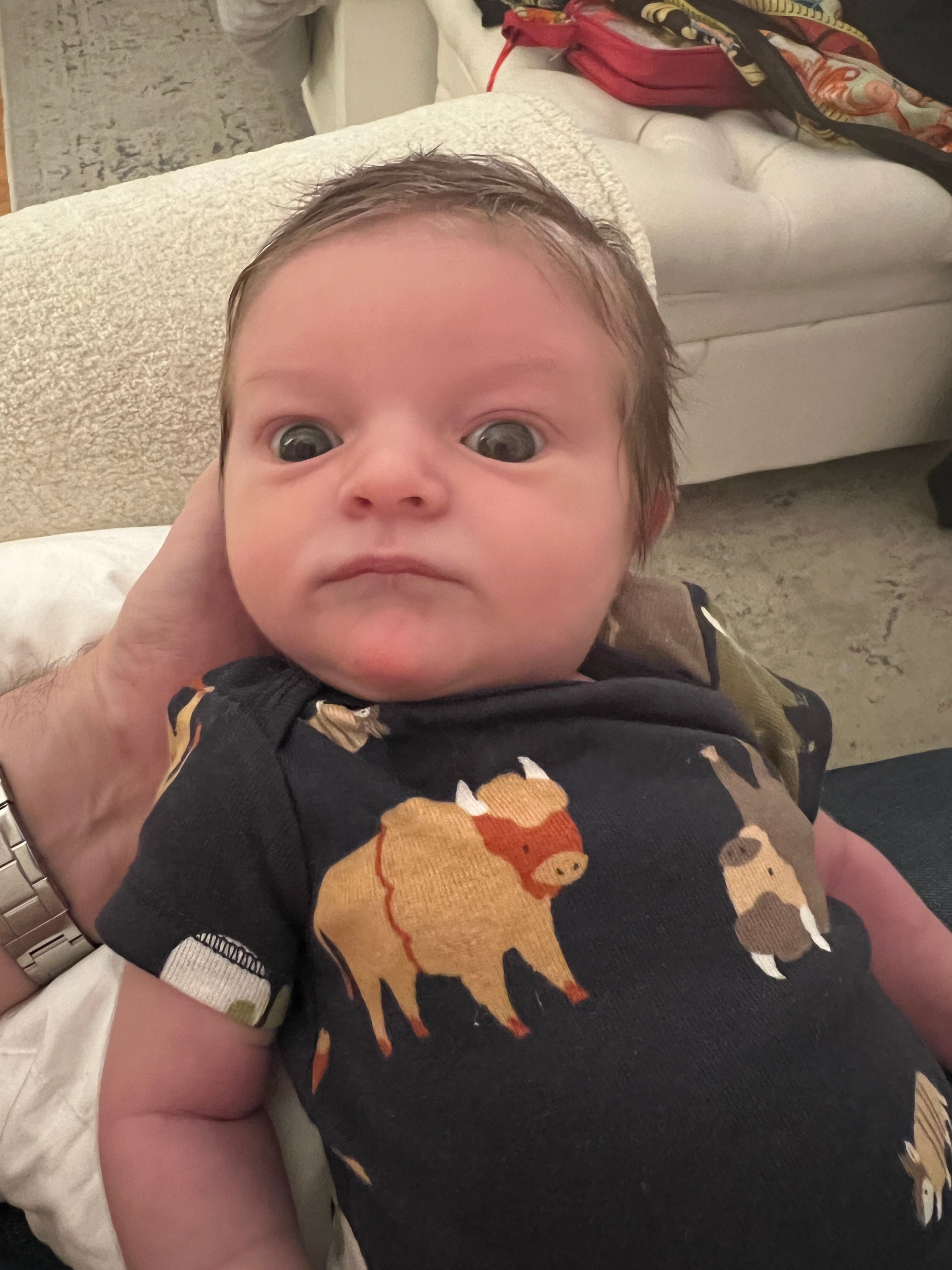 Newsletter: 2022-12-01 - by Steven Harms