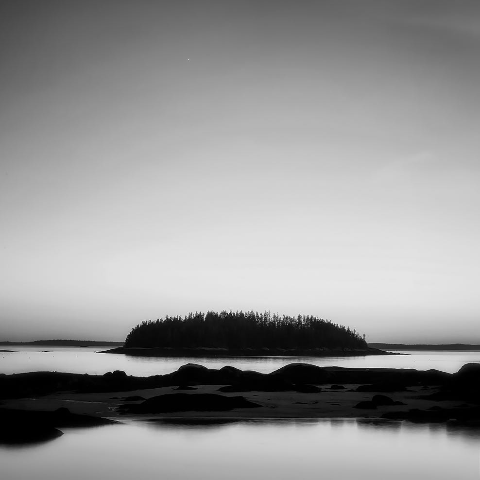 Lee Anne White | Substack