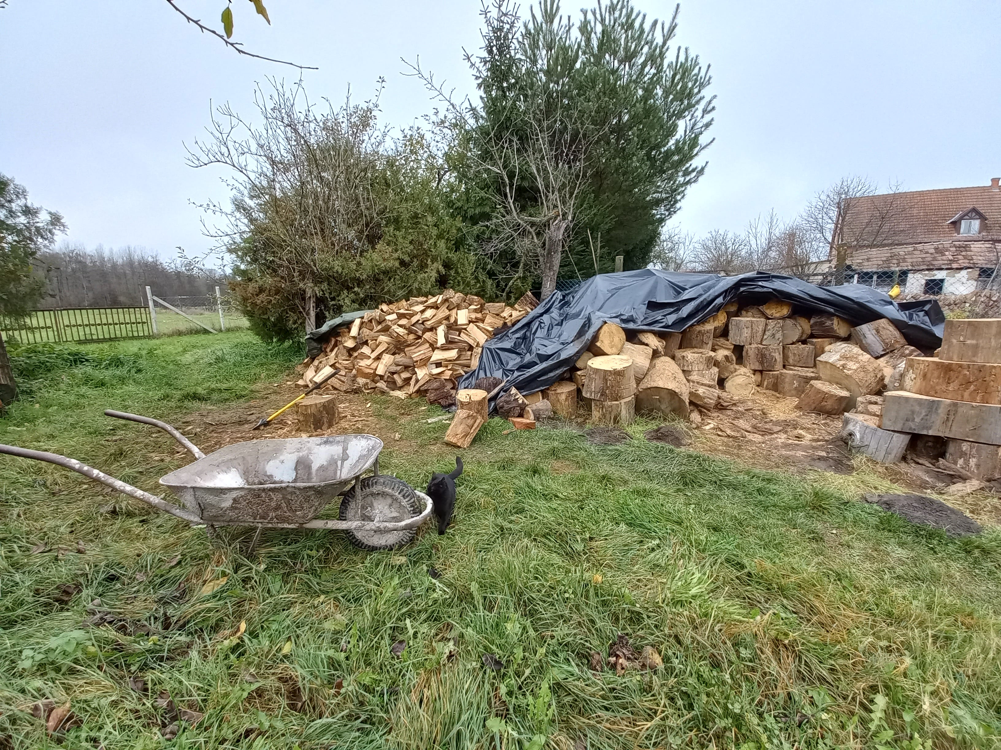 A beginner's guide to splitting firewood - Silent Questions