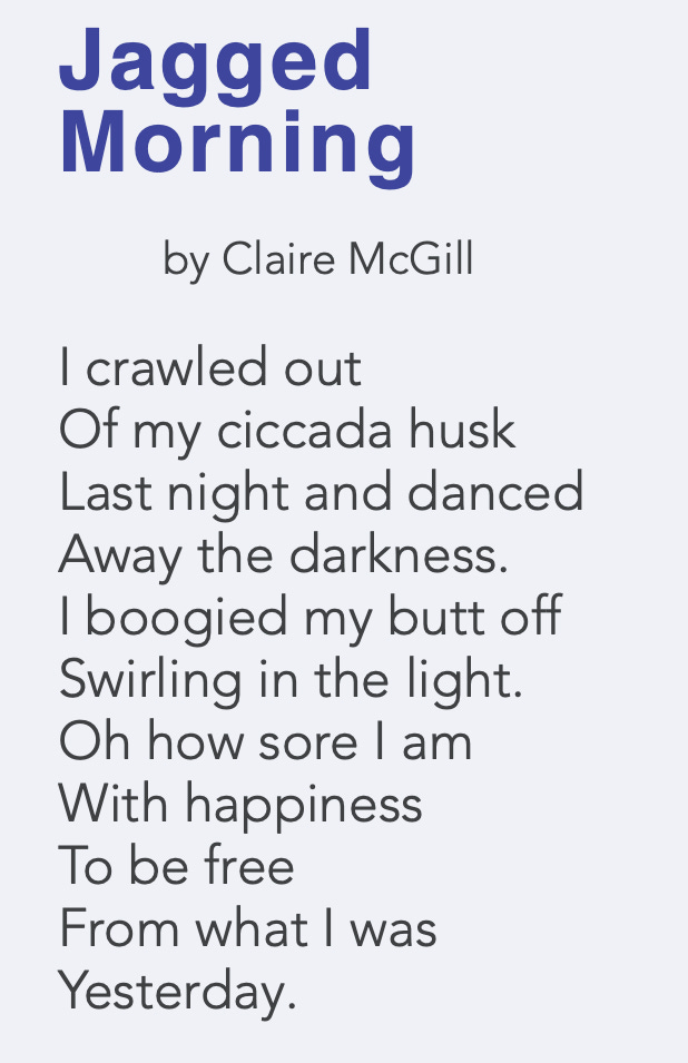 Jagged Morning - Fugitive Poets Press