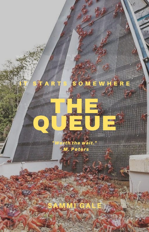 Dear Curious Iguana (The Queue 2) - by Sammi Gale