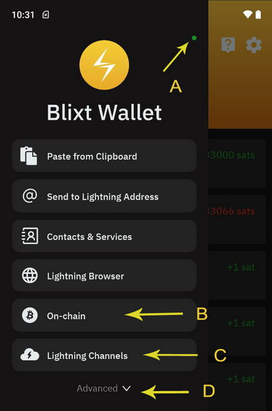 Getting started with Blixt Mobile Node - by DarthCoin ₿⚡️