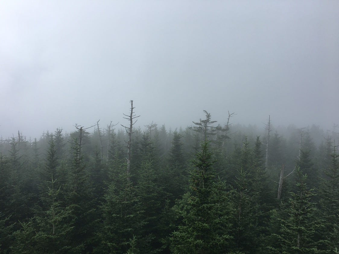 Renick Patterson | Substack