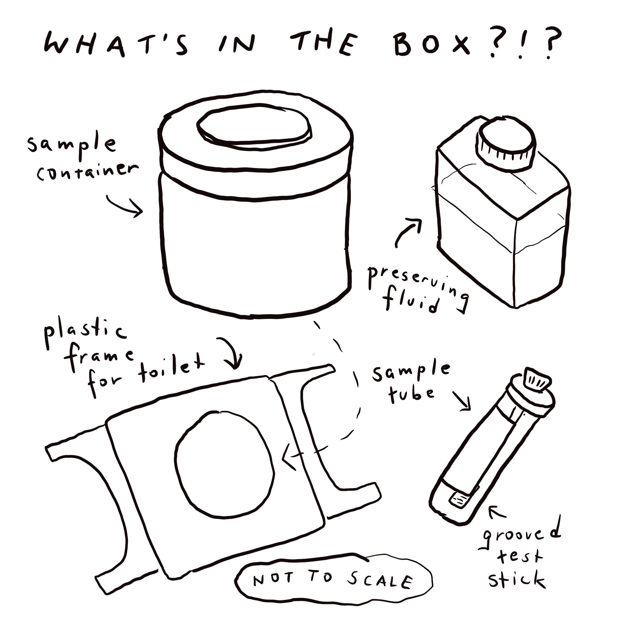 Poop in a Box - by B. Erin Cole - Little Brain Comics