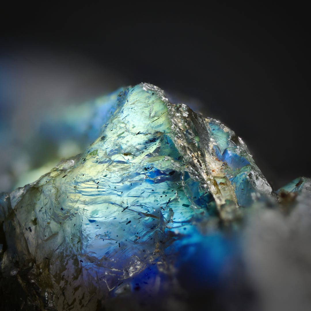 "Carbon" - Savage Wonder