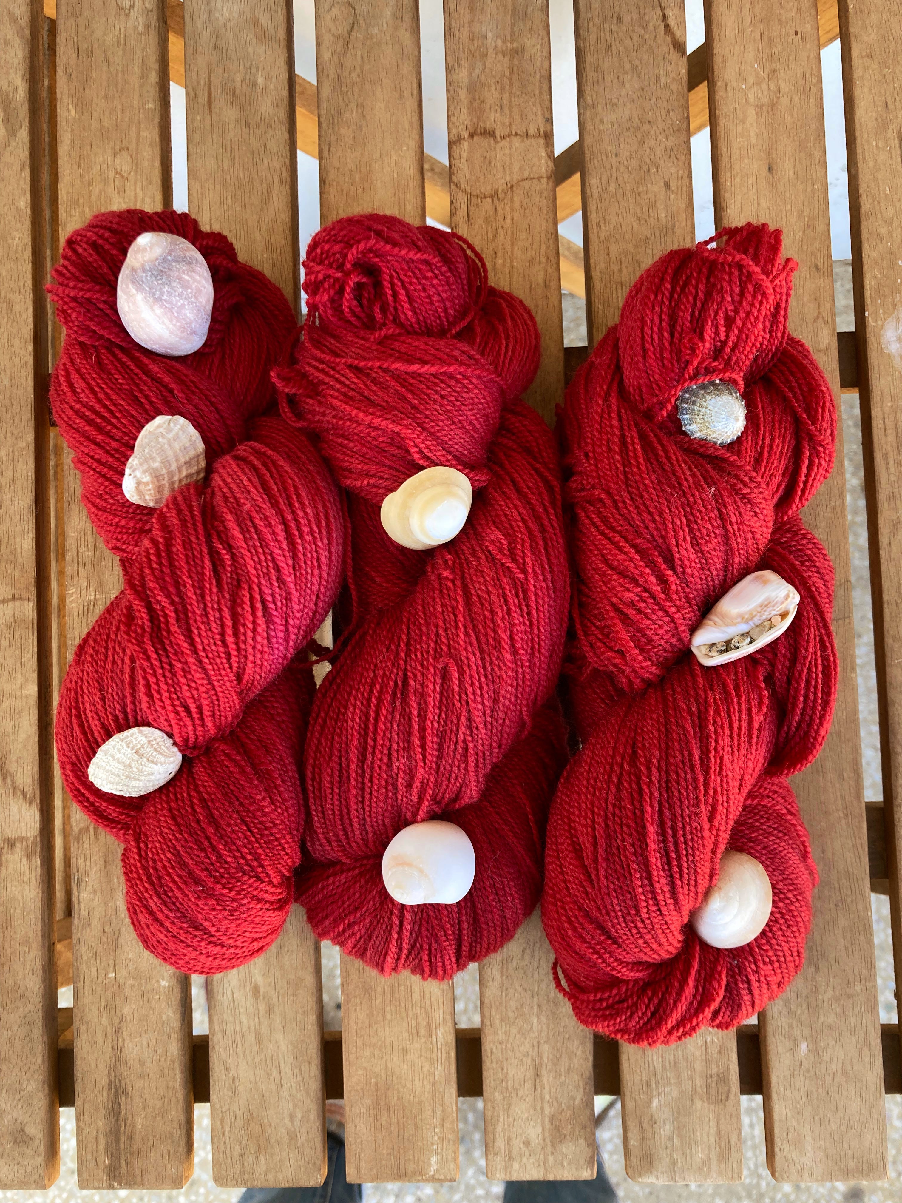 Cochineal and Rain - by Sara Meinecke