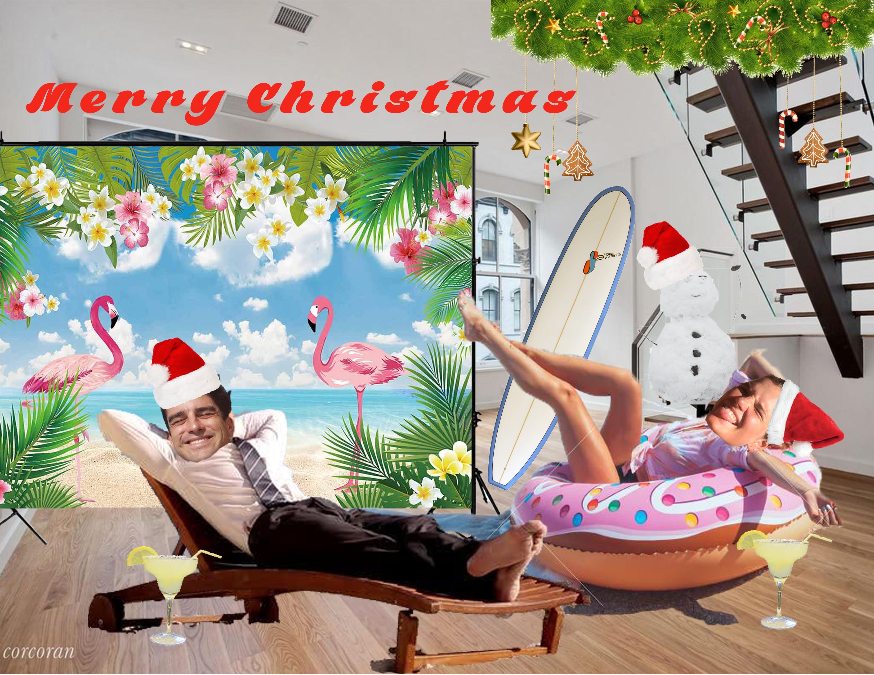 issue 117 - by devon h. dolan - devon's newsletter