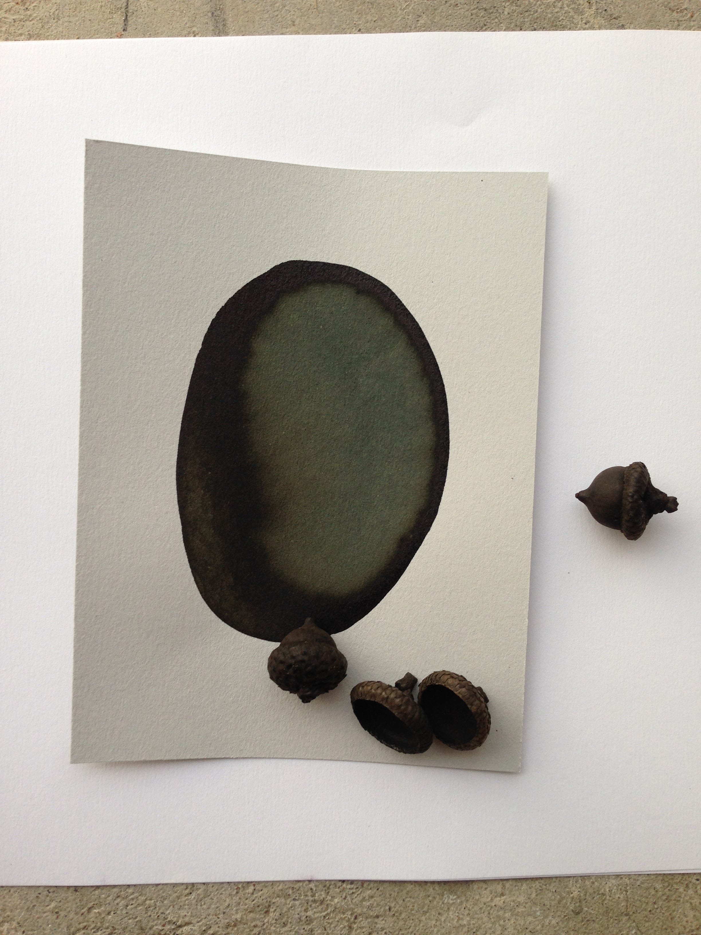 acorns! - by Toronto Ink Company