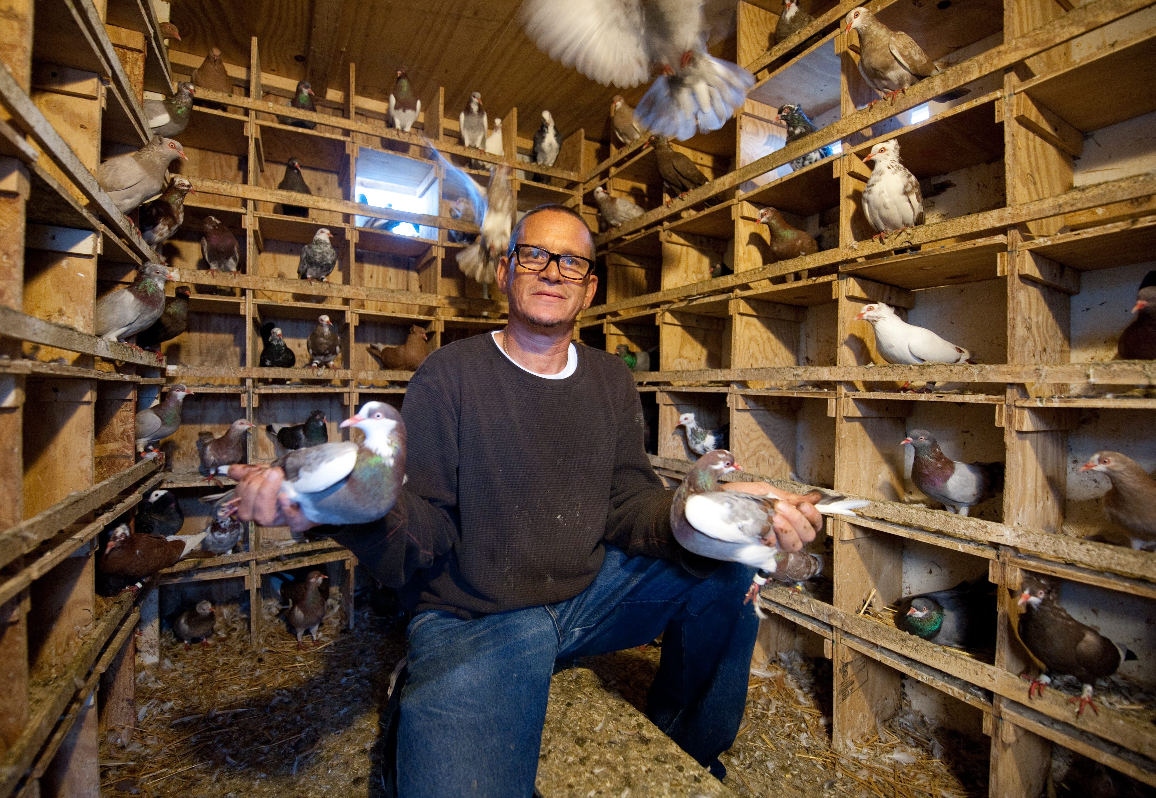 Art in America: Pigeon Keepers of NYC