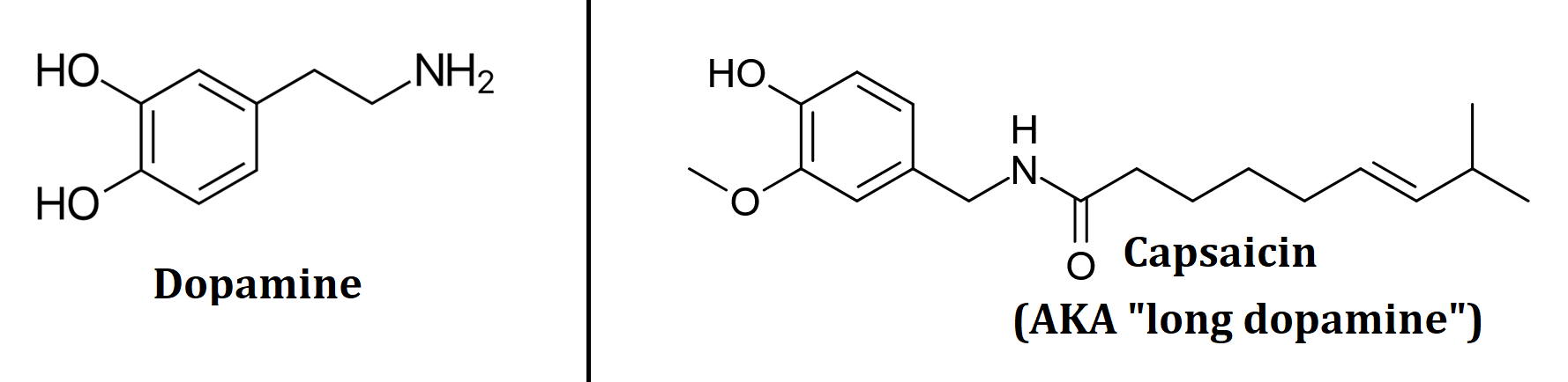 The "Spice" Melange: Exercise, Capsaicin, Cannabinoids, and the Microbiome