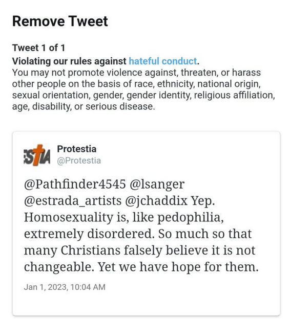 Protestia Suspended From Twitter for Violating ‘Hateful Content’ Policy