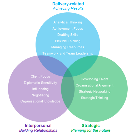 OECD Competency Framework - by bcalm - Managing Analytics
