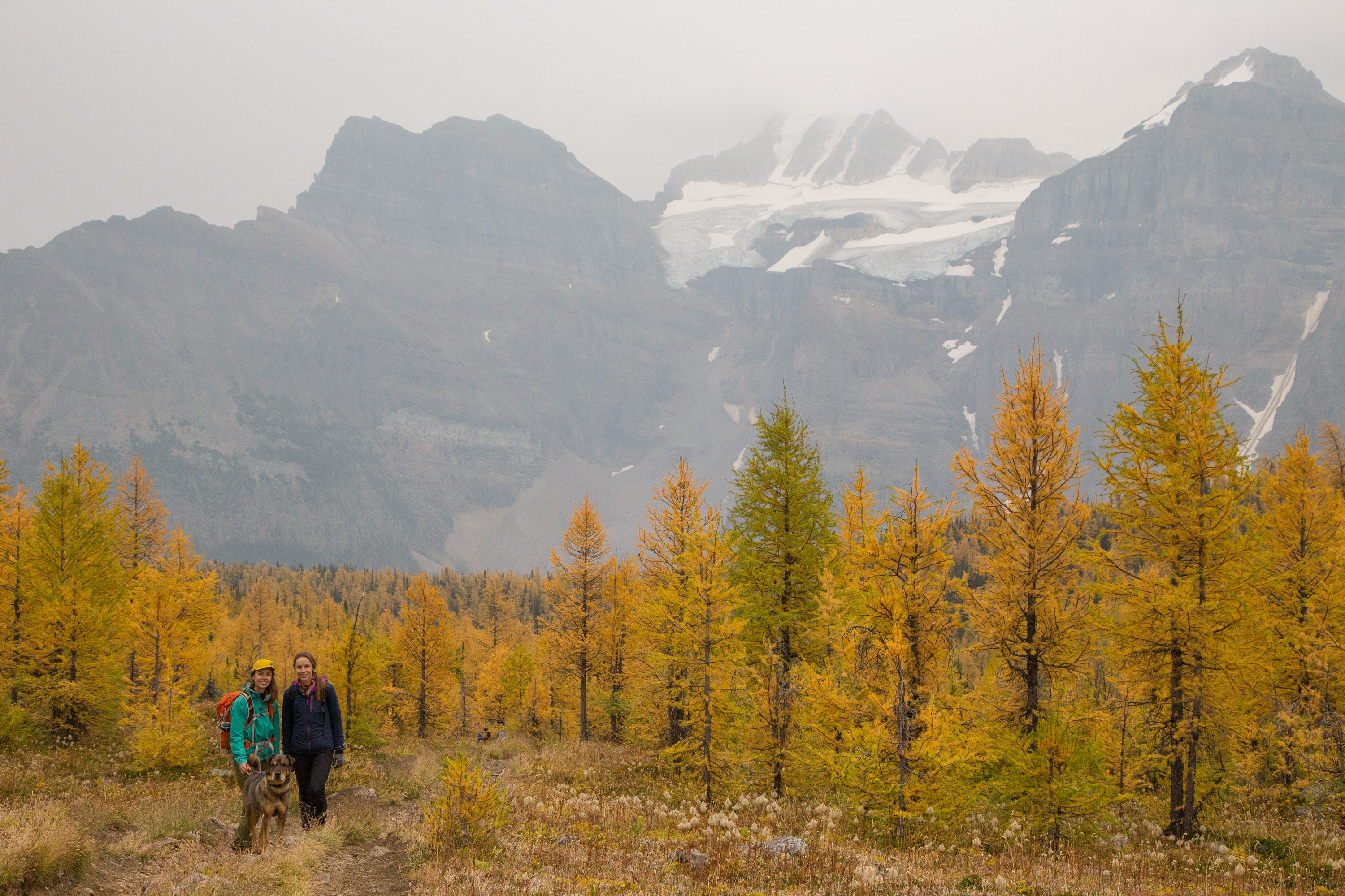 It’s Time For a Larch March! - by Annalise and Cailynn