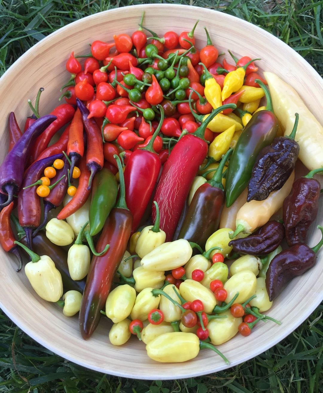 24 Reasons You Should Start a Garden in 2024