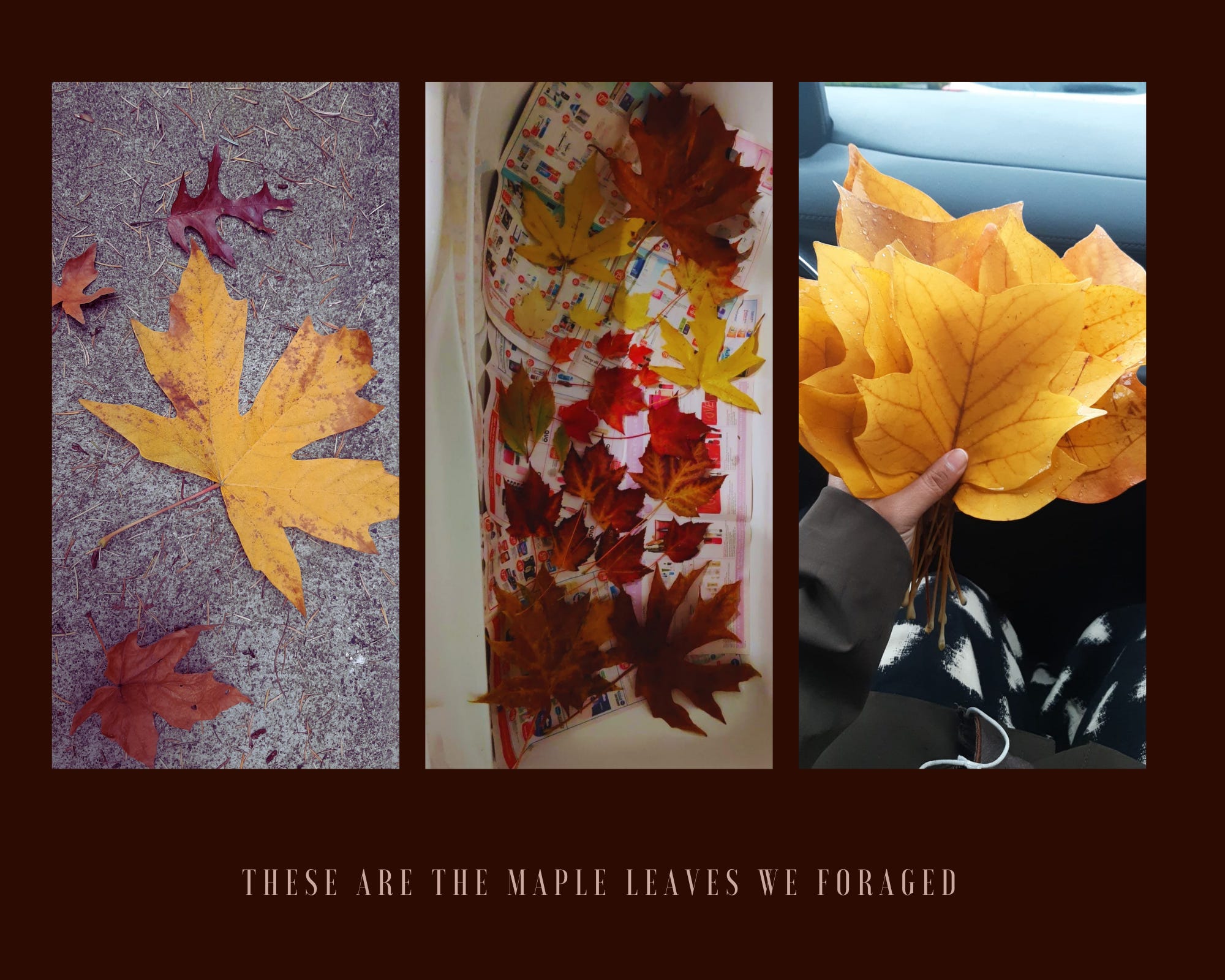 Life Lessons from the Marvelous Mrs. Maple