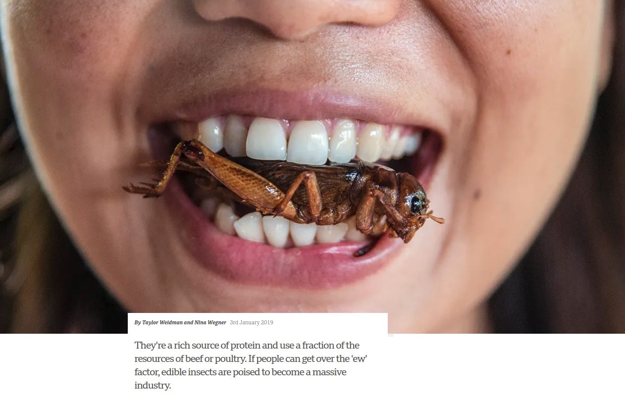 NACIA, and the Push for Global Insect Agriculture, Done as Part of the ...