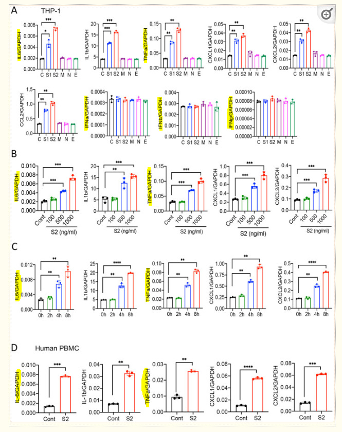 Persistent capillary rarefication in long COVID syndrome