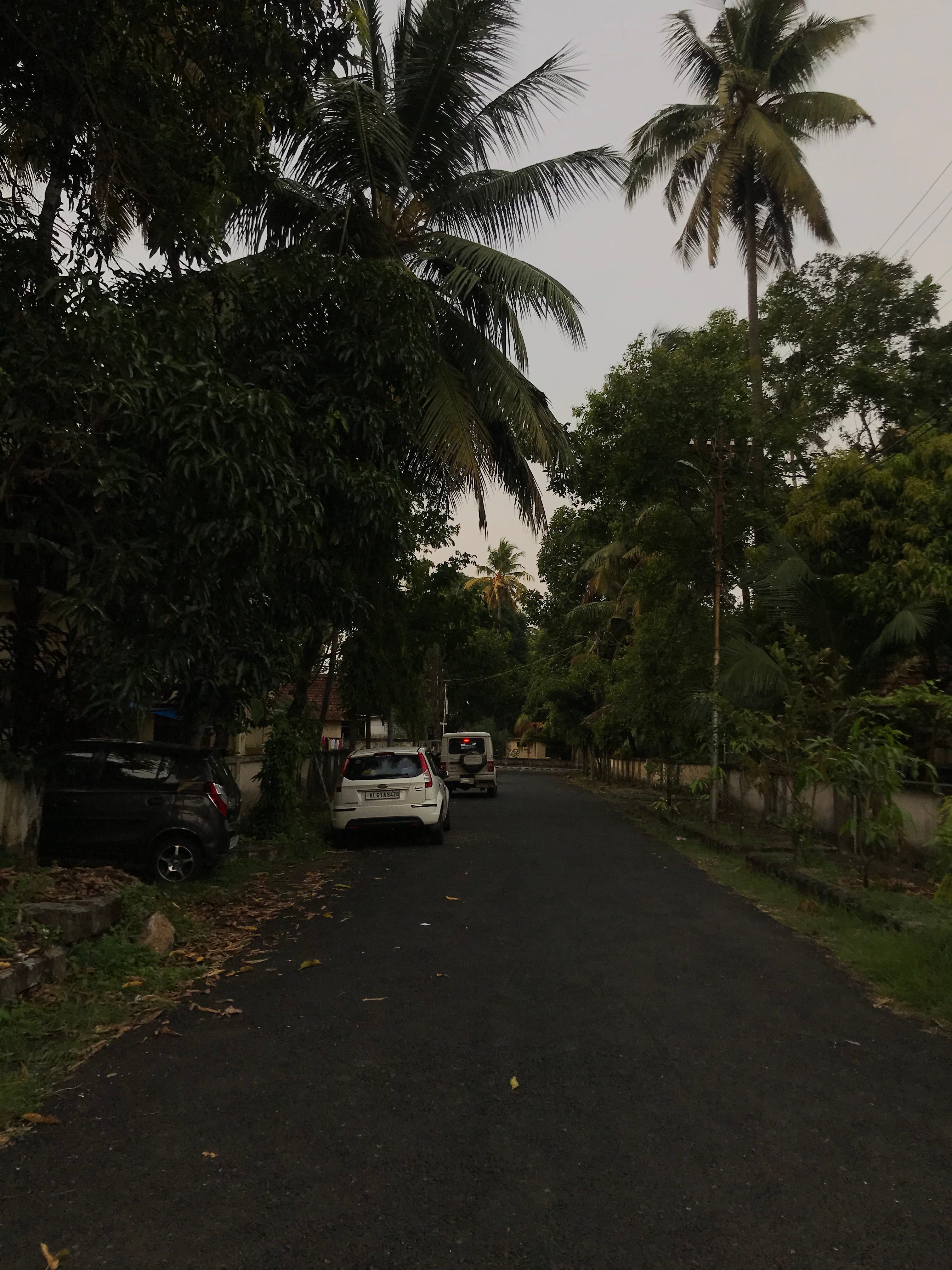 Efficacy Of The KTM Booster! - by Binu Philip