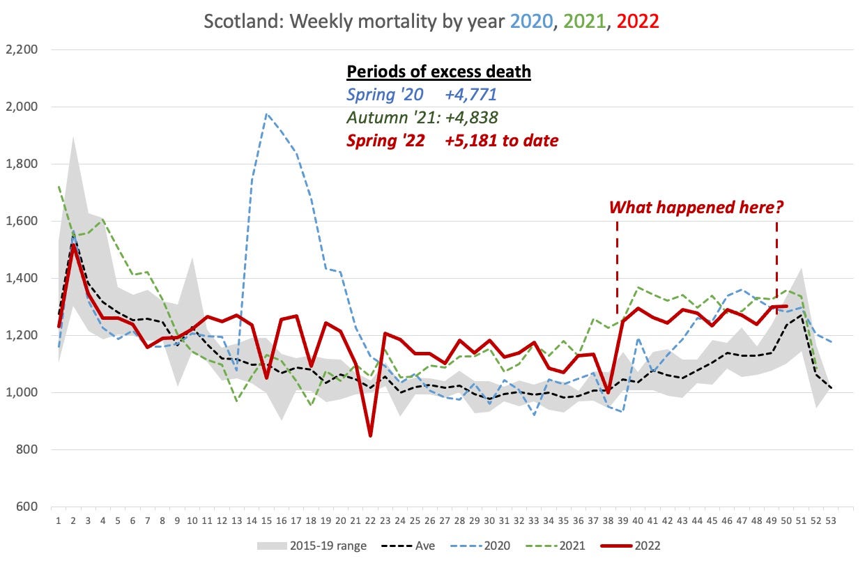 Scotland mortality 2022 week 50